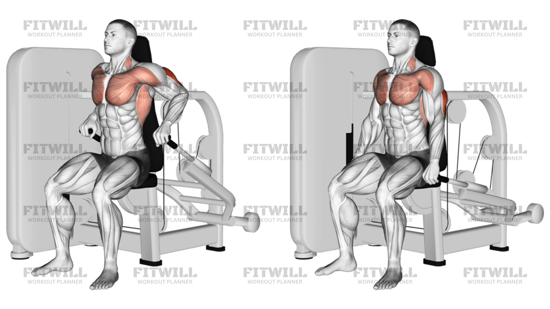 Lever Seated Dip: Exercise Guide, Video, Techniques, Benefits, How to ...