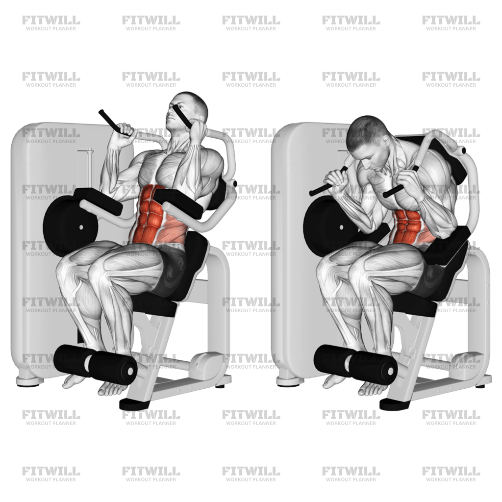 Target Your Core: 4-Move Ab Workout for Strength and Definition ...