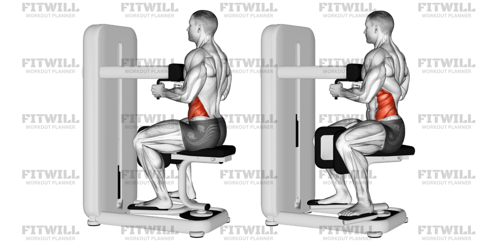 Lever Seated Twist: Exercise Guide, Video, Techniques, Benefits, How to ...