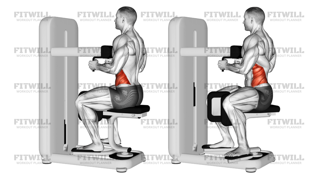 Lever Seated Twist: Exercise Guide, Video, Techniques, Benefits, How to ...
