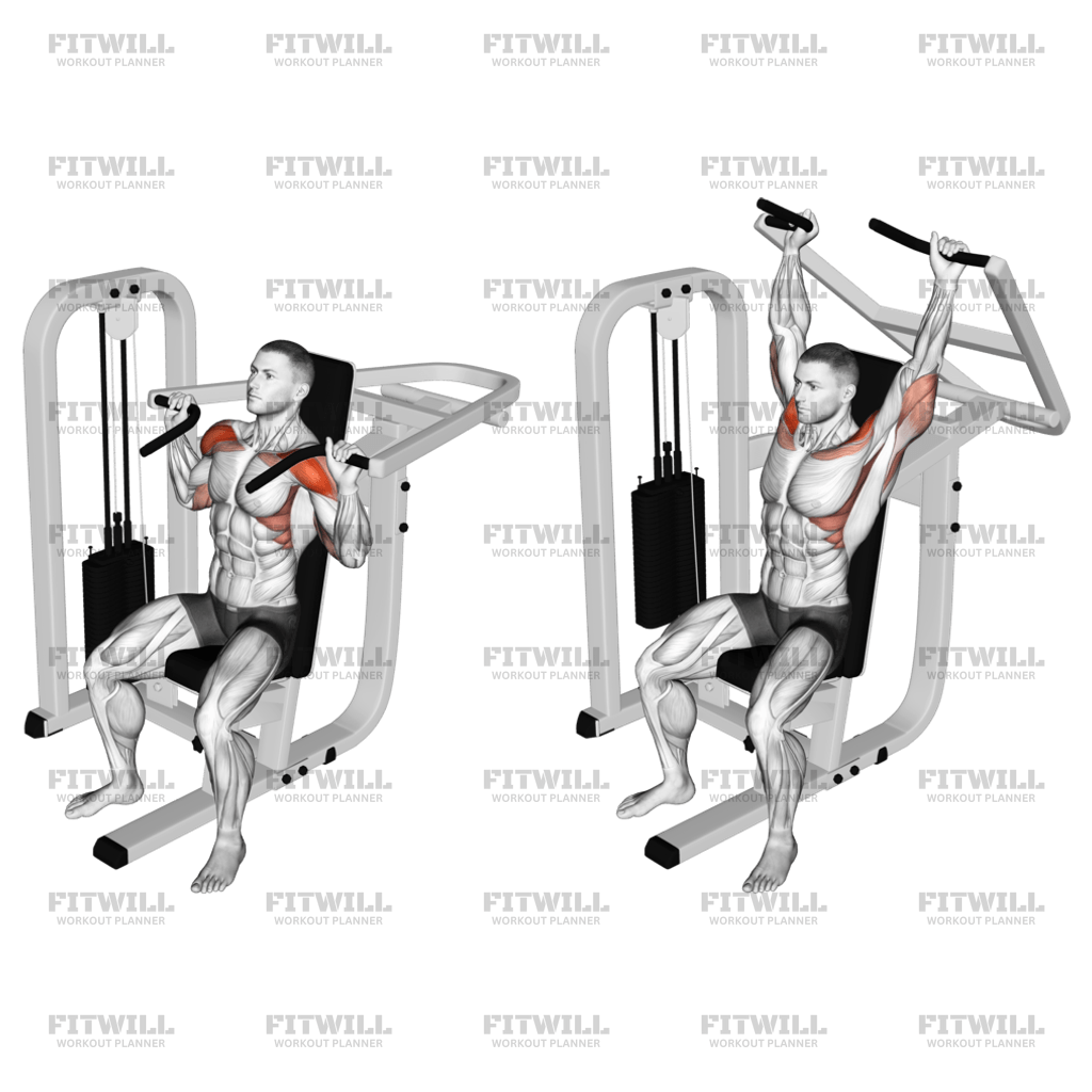 Ultimate Shoulder Workout: Machine & Dumbbell Exercises for Defined ...