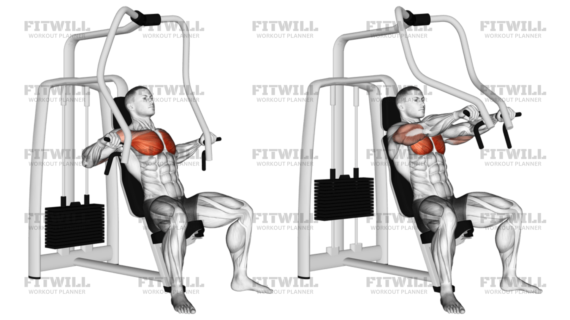 Lever Chest Press Version 2: Exercise Guide, Techniques, Benefits, How ...