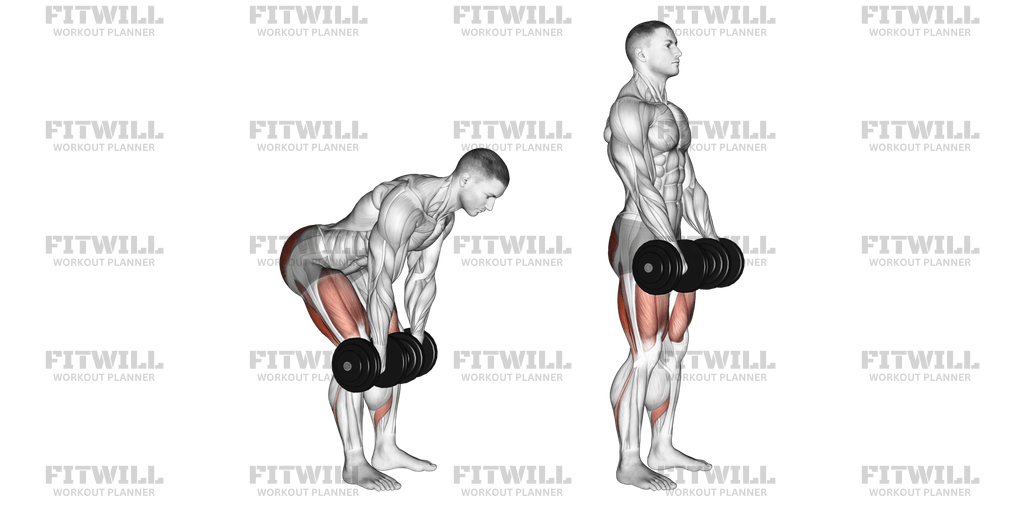 Dumbbell Romanian Deadlift: Exercise Guide, Video, Techniques, Benefits ...