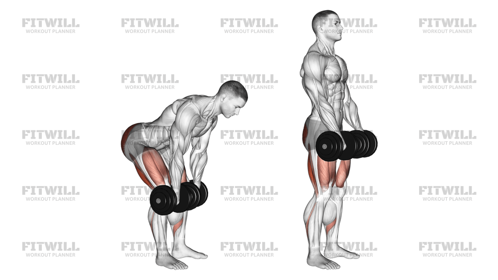 Dumbbell Romanian Deadlift: Exercise Guide, Video, Techniques, Benefits ...