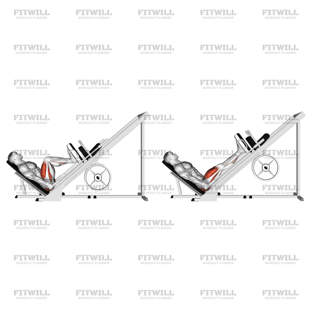 Sled 45° Leg Press (Side POV): Exercise Guide, Video, Techniques ...