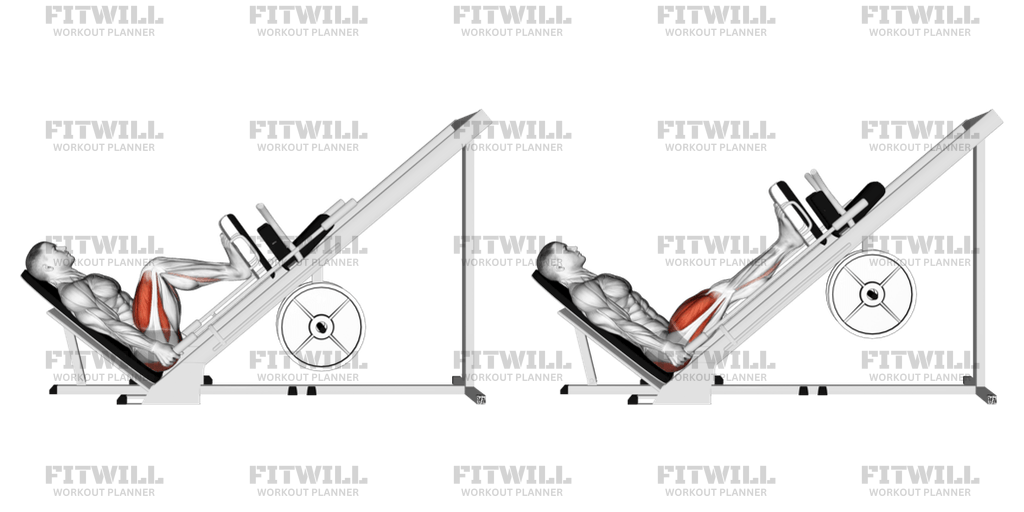 Sled 45° Leg Press (Side POV): Exercise Guide, Video, Techniques ...