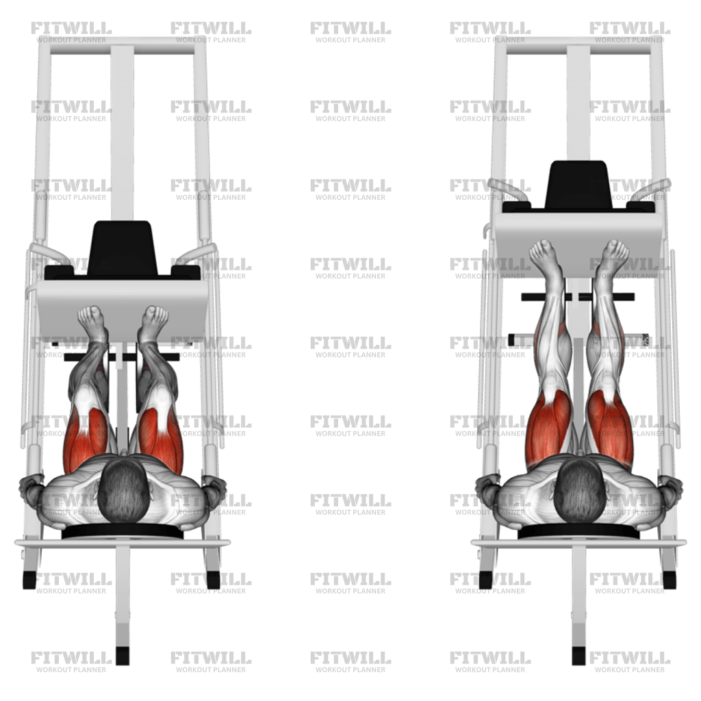 Sled 45° Leg Press (Back POV): Exercise Guide, Video, Techniques ...