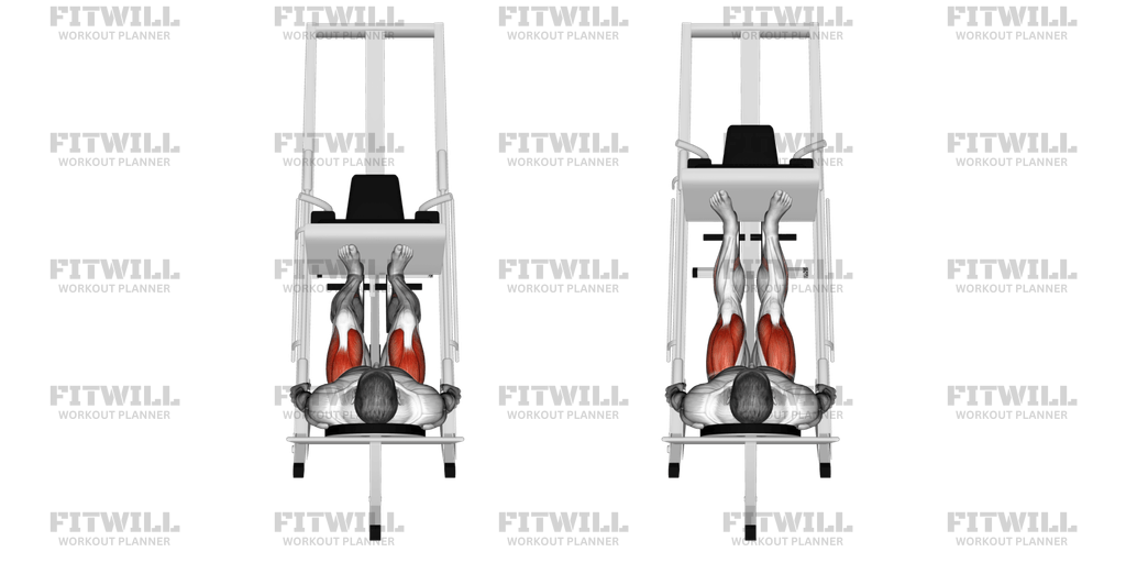 Sled 45° Leg Press Back POV: Exercise Guide, Video, Techniques ...