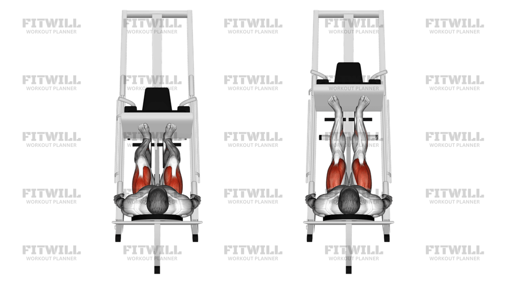 Sled 45° Leg Press (Back POV): Exercise Guide, Video, Techniques ...