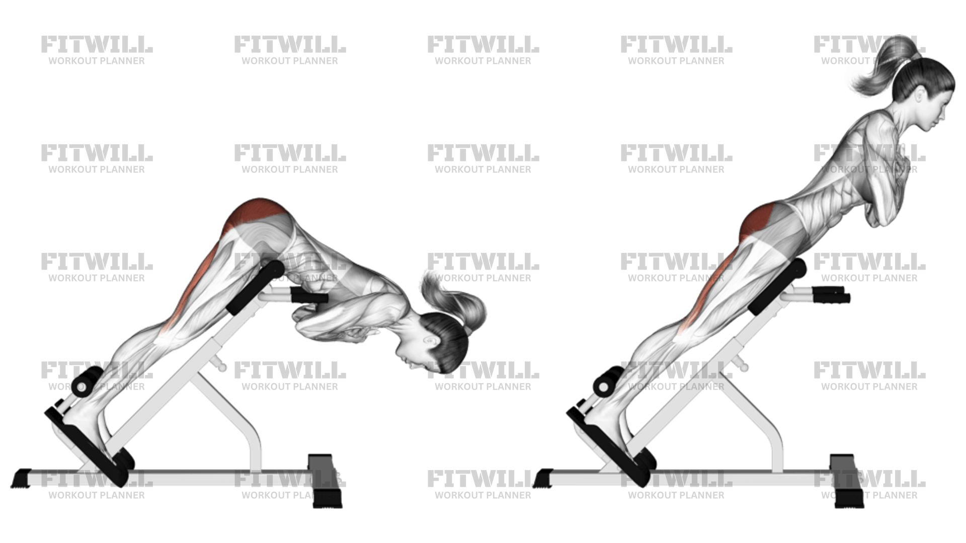 Roman Chair 45 Degree Hyperextension (arms In Front Of Chest) (Side-POV ...