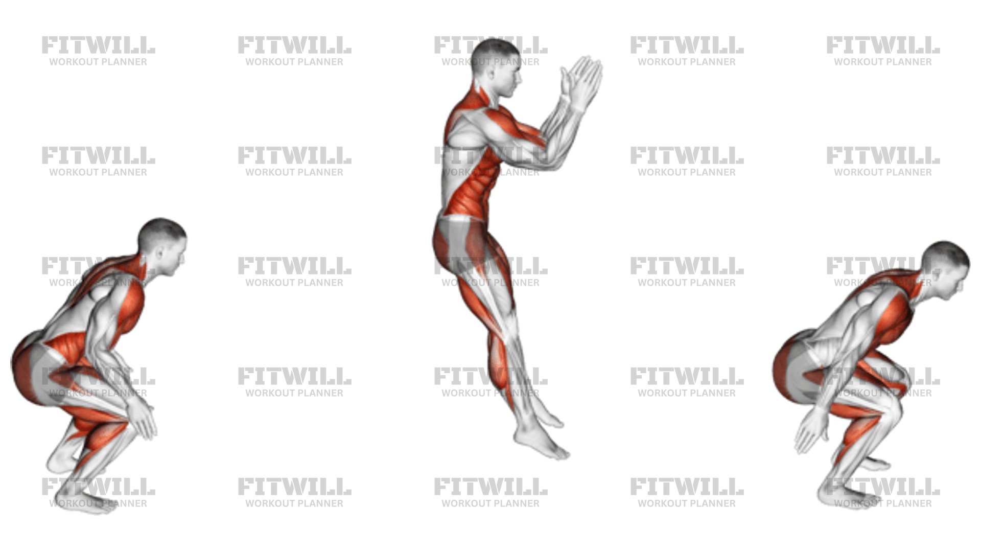 Backward Jump: Exercise Guide, Techniques, Benefits, How to, Muscles ...