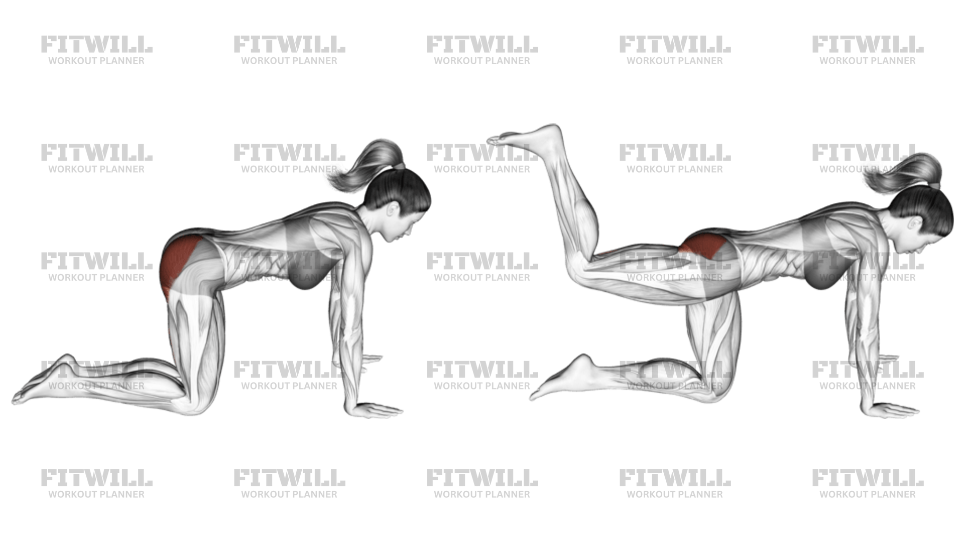 Bent Leg Kickback (kneeling): Exercise Guide, Video, Techniques ...