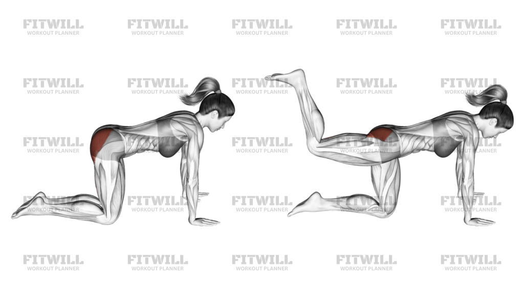 Glutes Home Workout | Workout Library | Fitwill