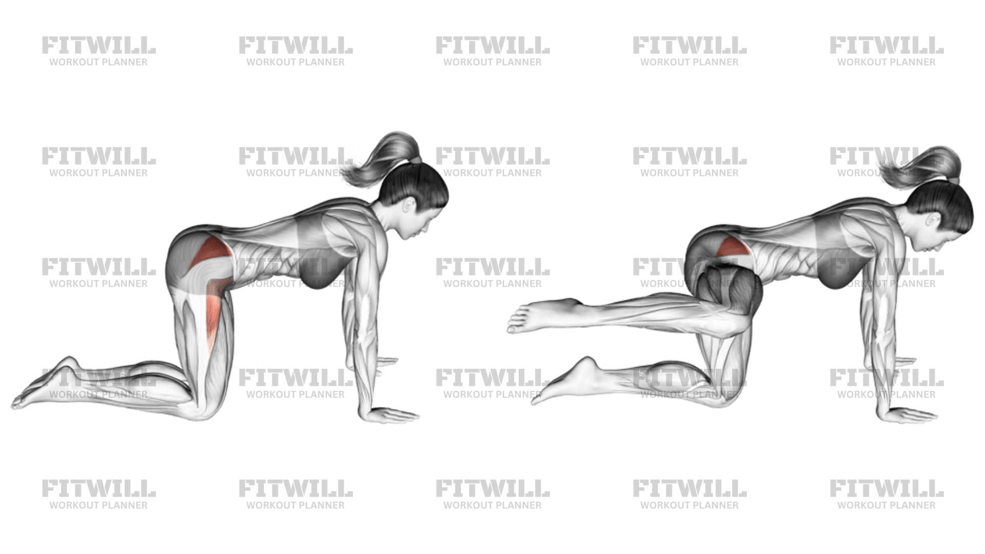 Bent Leg Side Kick (kneeling): Exercise Guide, Video, Techniques ...