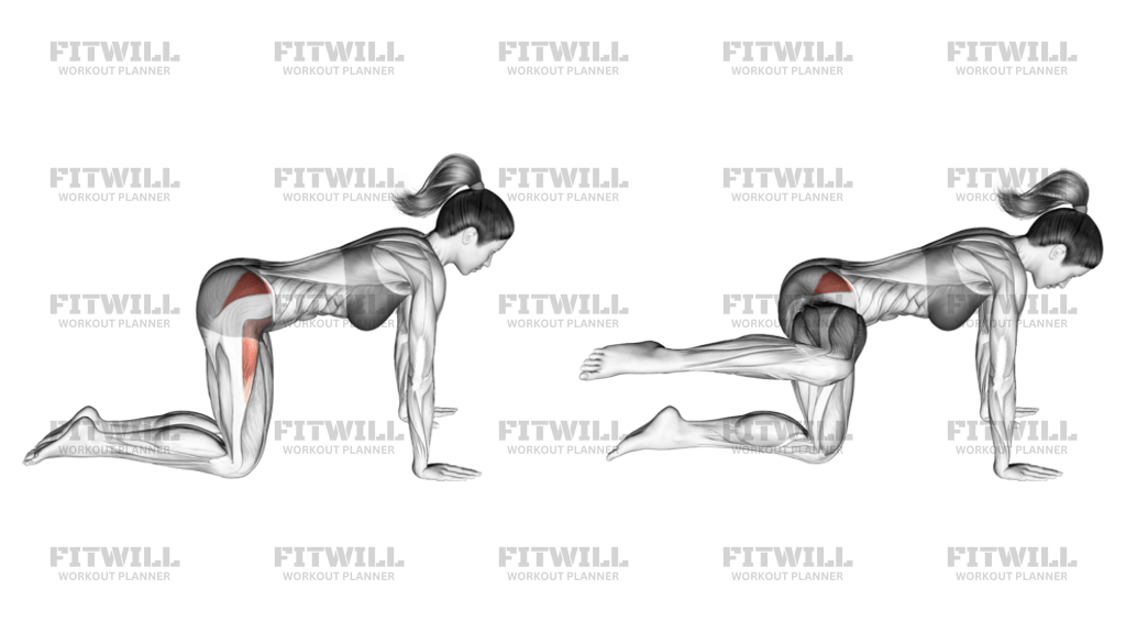 Bent Leg Side Kick (kneeling): Exercise Guide, Video, Techniques ...