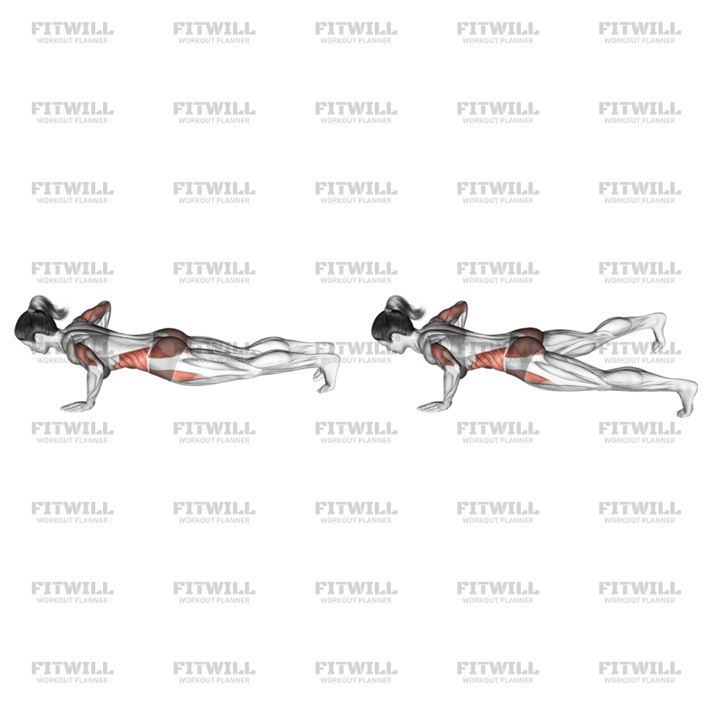 Jack Plank: Exercise Guide, Techniques, Benefits, How to, Muscles ...