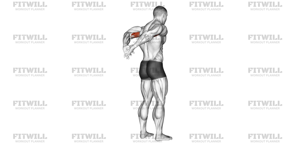 Biceps Stretch Behind The Back: Exercise Guide, Techniques, Benefits ...