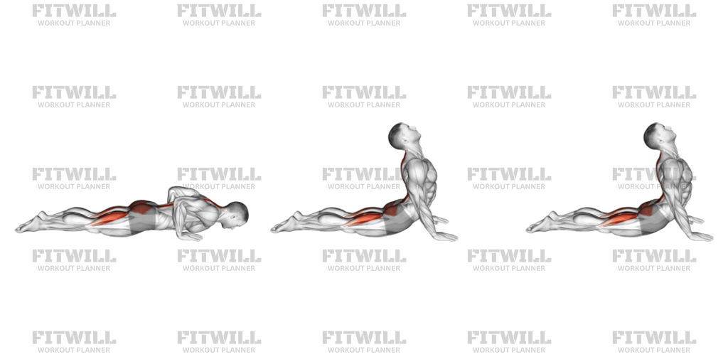 Postura De Yoga Cobra: Guía de Ejercicios, Video, Técnicas, Beneficios ...