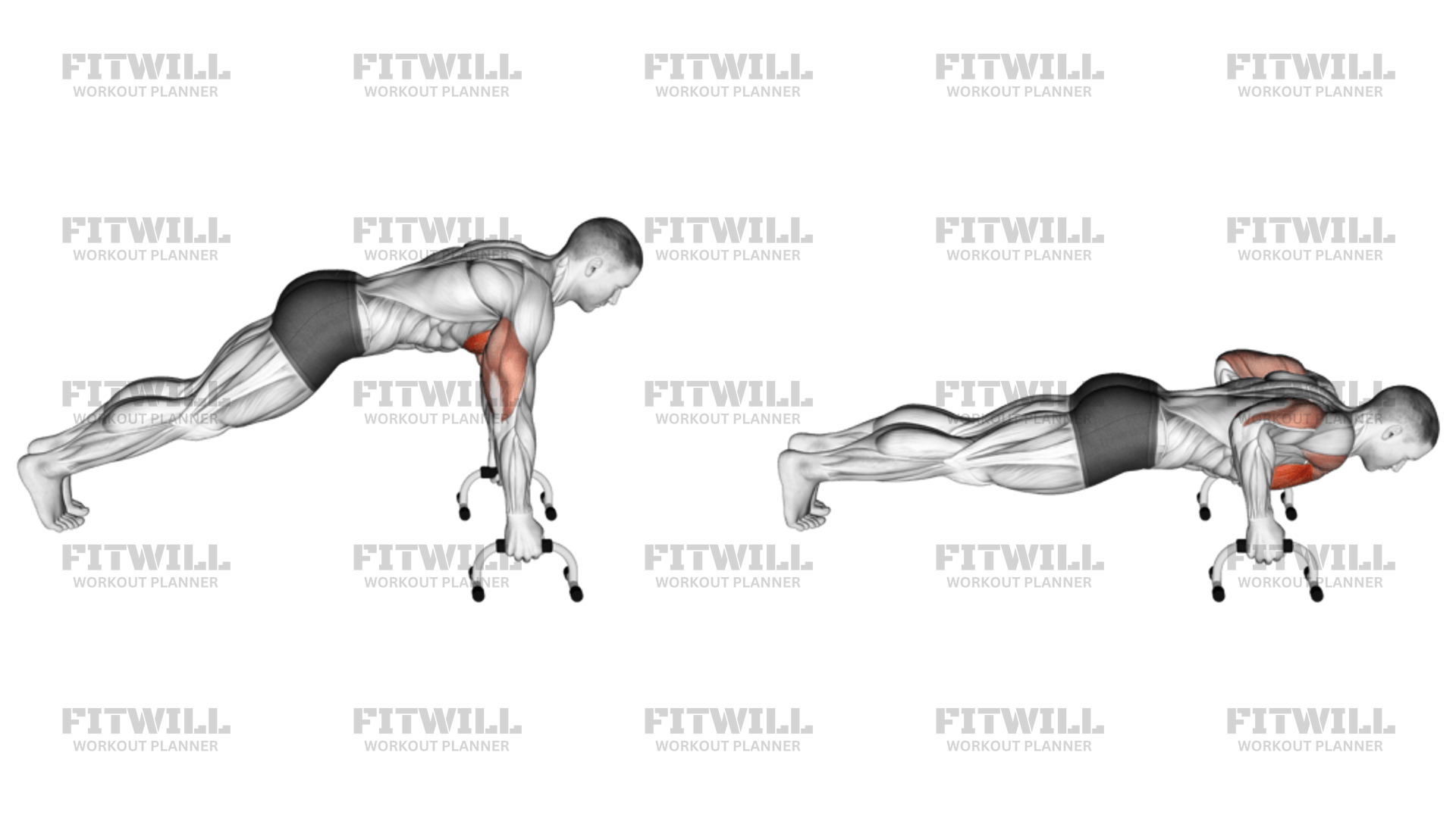 Deep Push-up (with Push-up Bars): Exercise Guide, Techniques, Benefits ...