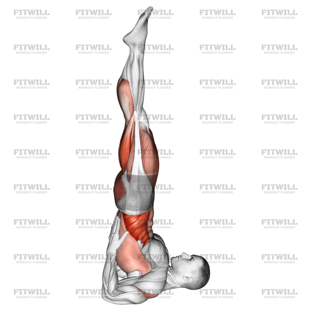 Shoulder Stand Yoga Pose: Exercise Guide, Techniques, Benefits, How to ...