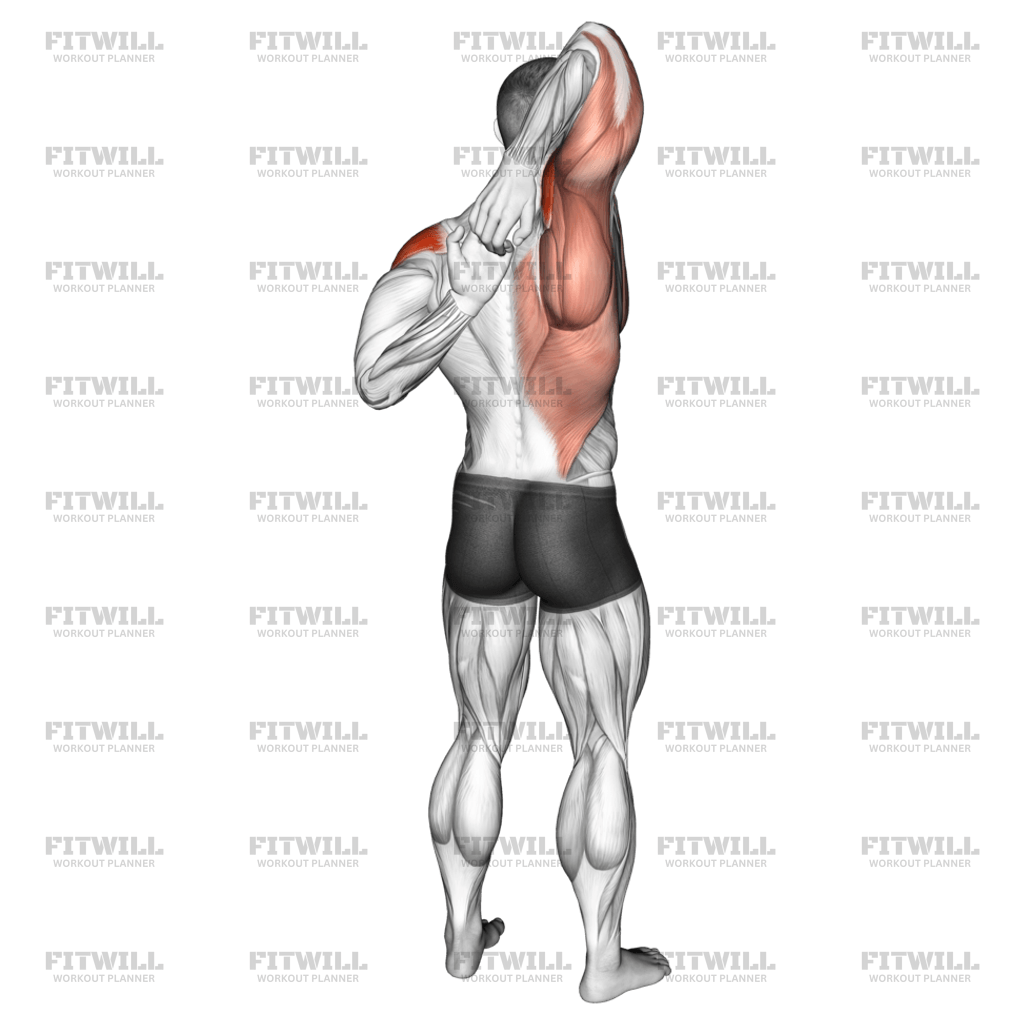 Shoulder Stretch Behind the Back: Guide, Techniques, Benefits, How to ...