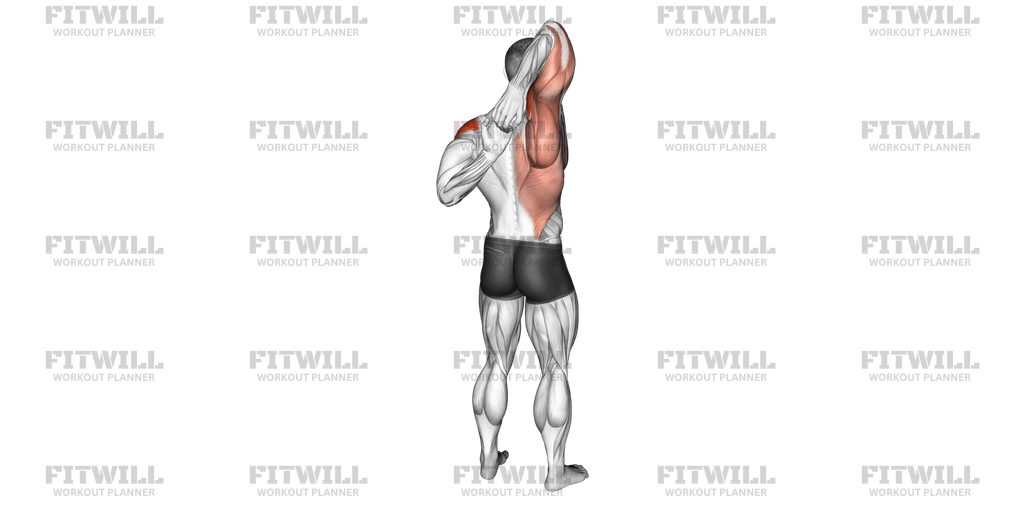 Shoulder Stretch Behind The Back: Exercise Guide, Video, Techniques ...