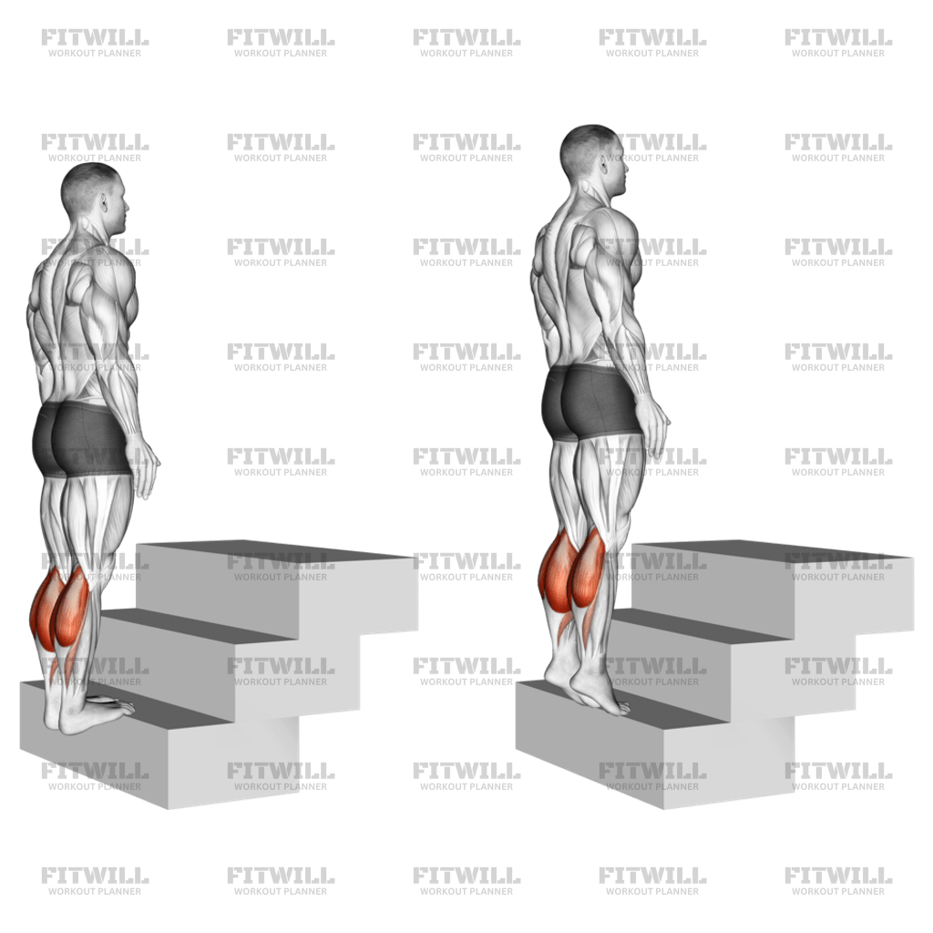 Standing Calf Raise (On A Staircase): Exercise Video | Fitwill