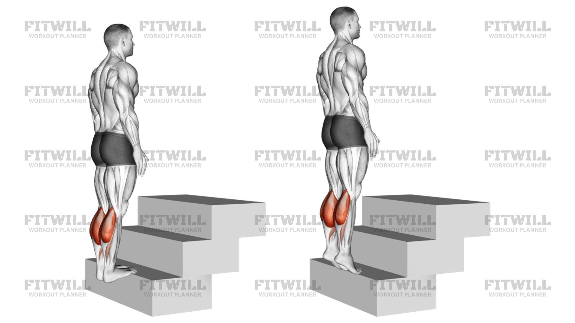 Standing Calf Raise (On A Staircase): Exercise Video | Fitwill