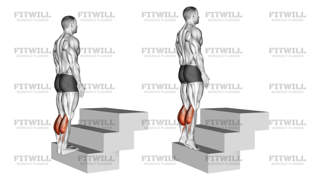 Standing Calf Raise (On A Staircase): Exercise Video | Fitwill