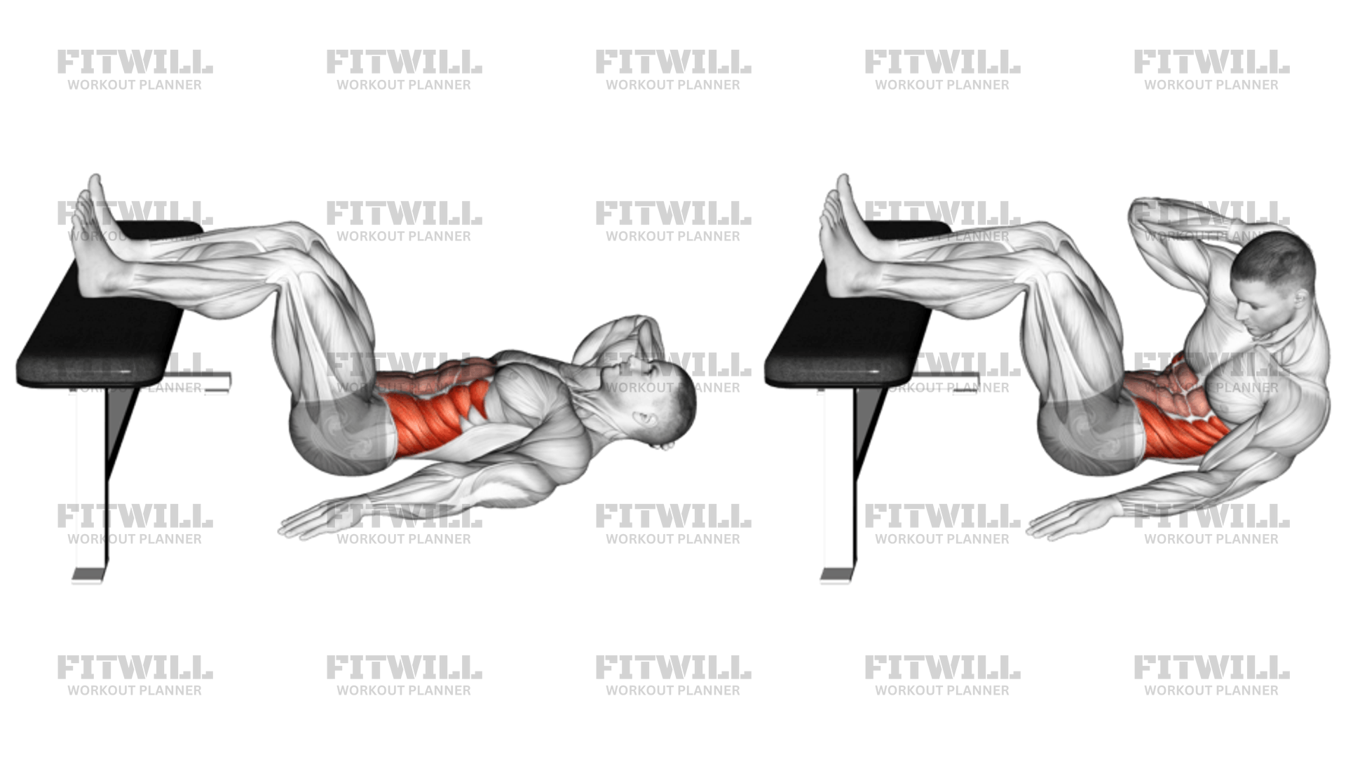Oblique Crunch Version 2: Exercise Guide, Video, Techniques, Benefits ...