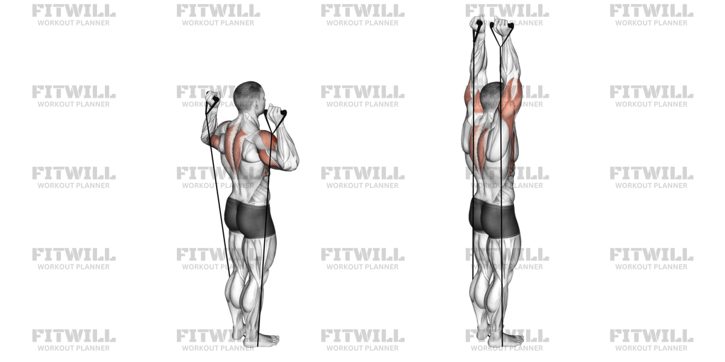 Band Behind Neck Shoulder Press: Exercise Guide, Video, Techniques ...