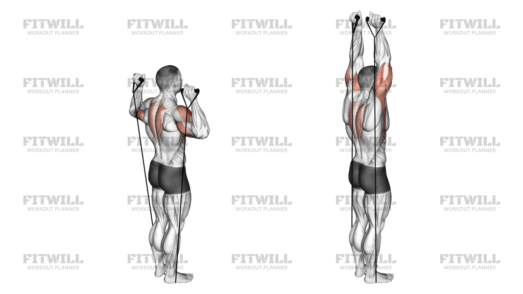 Band Behind Neck Shoulder Press: Exercise Guide, Video, Techniques ...