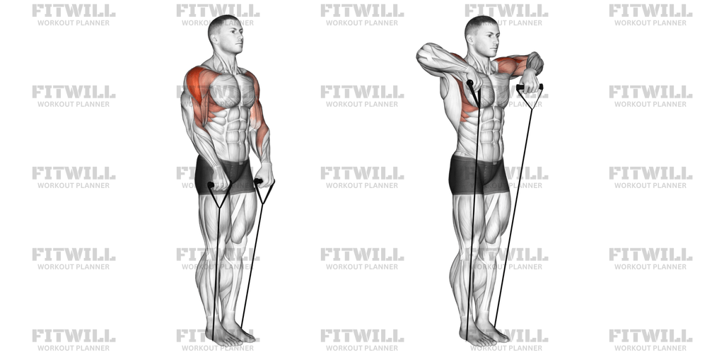Band Upright Row (Under Two Feet): Exercise Guide, Video, Techniques ...