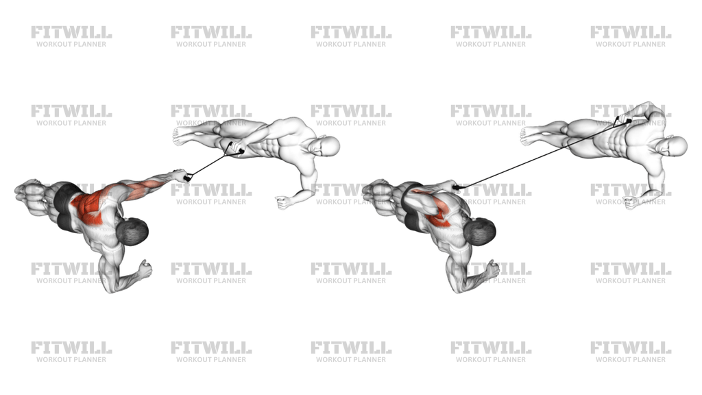 Band Side Plank Row With Partner: Exercise Guide, Techniques, Benefits ...