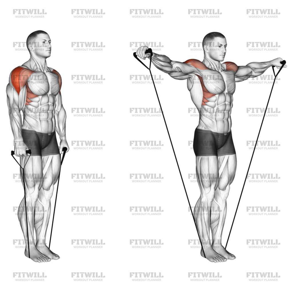 Band Lateral Raise (Version 2): Exercise Guide, Video, Techniques ...