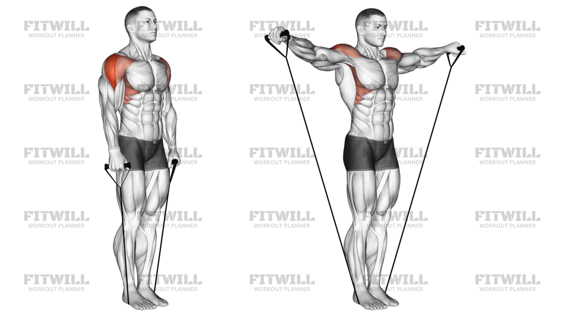 Band Lateral Raise (Version 2): Exercise Guide, Video, Techniques ...