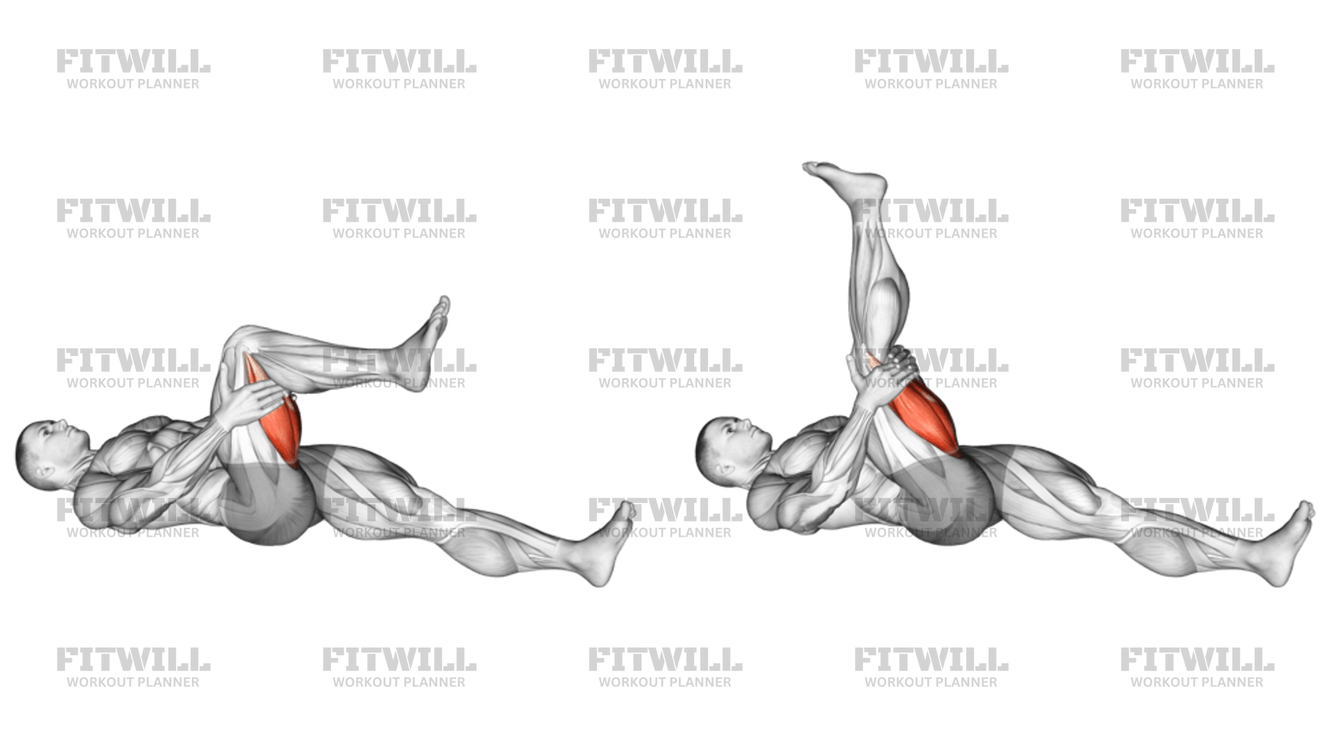 Hamstring Stretch: Exercise Guide, Video, Techniques, Benefits, How to, Muscles Worked, Tips ...