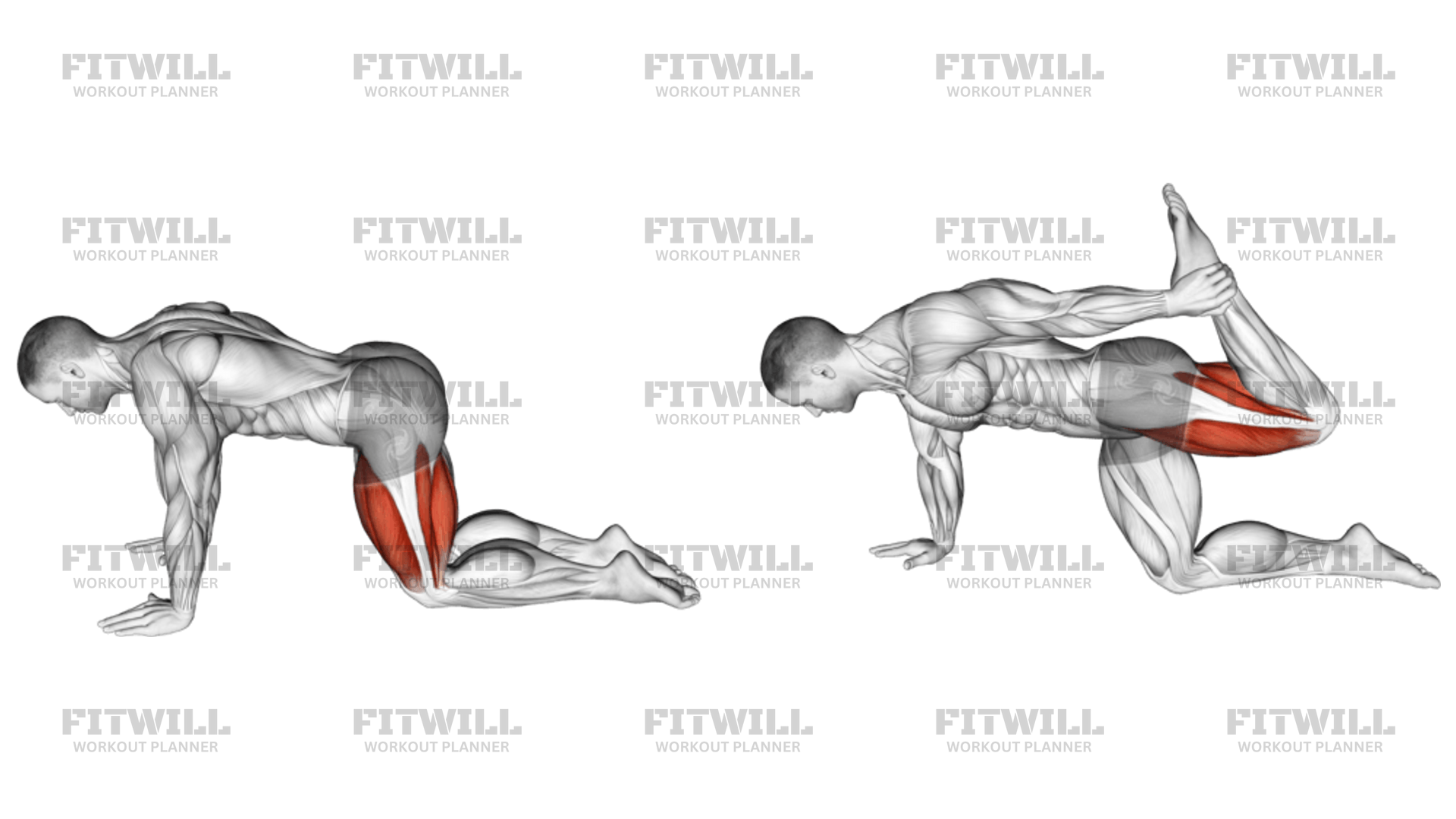All Fours Squad Stretch: Exercise Guide, Video, Techniques, Benefits ...