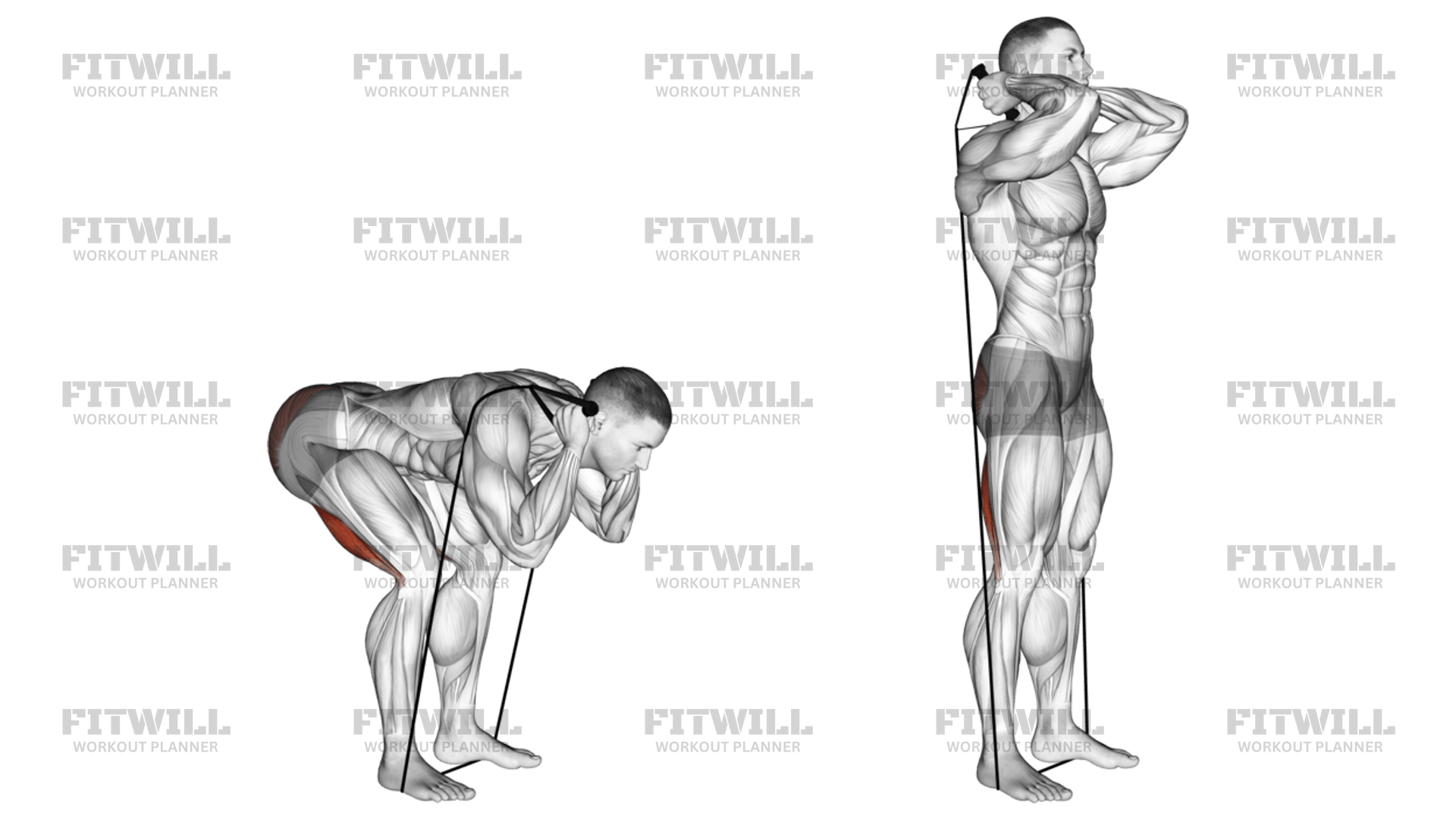 Band Good Morning: Exercise Guide, Video, Techniques, Benefits, How to ...