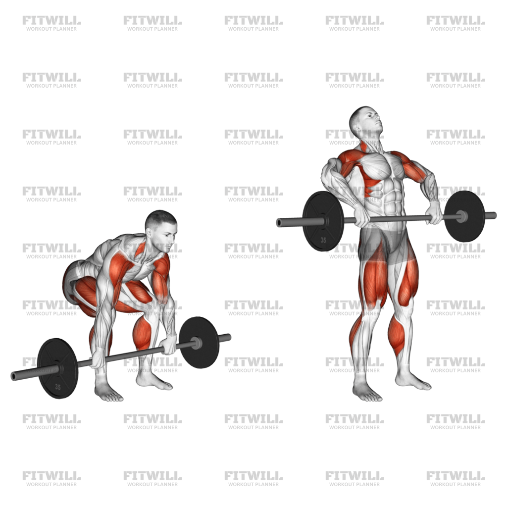 How to do Barbell Clean Pull: Techniques, Benefits, Tips & Tricks | Fitwill
