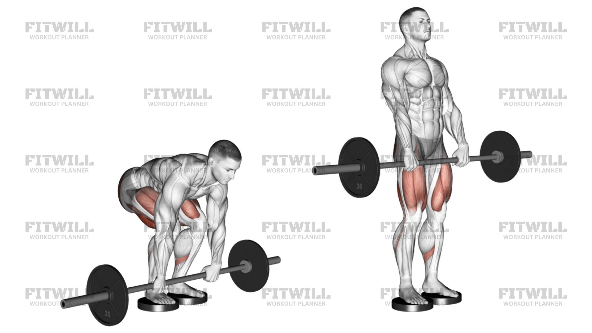 Barbell Romanian Deadlift From Deficit: Exercise Guide, Techniques ...