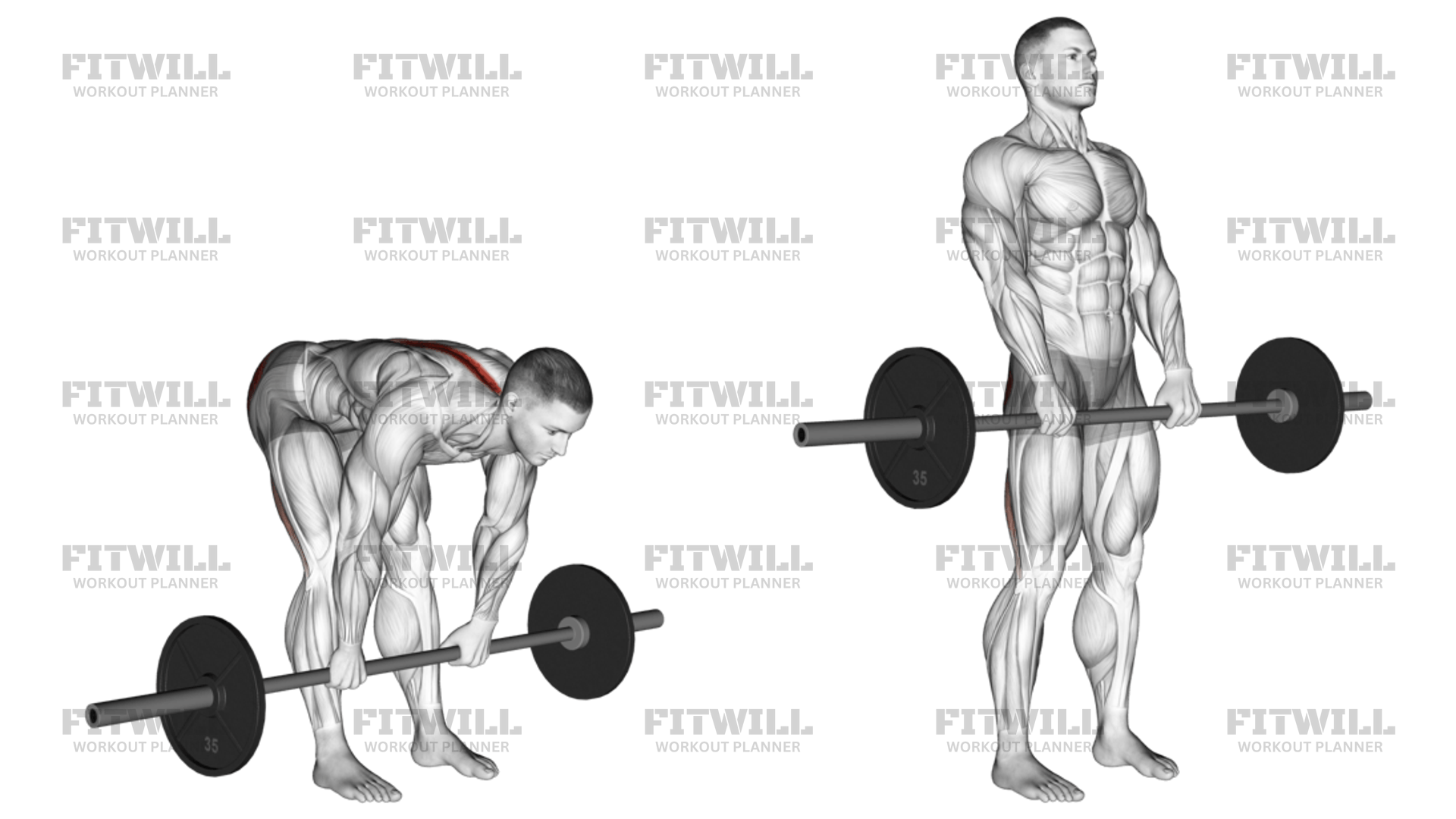 Barbell Stiff Legged Deadlift: Exercise Guide, Video, Techniques ...