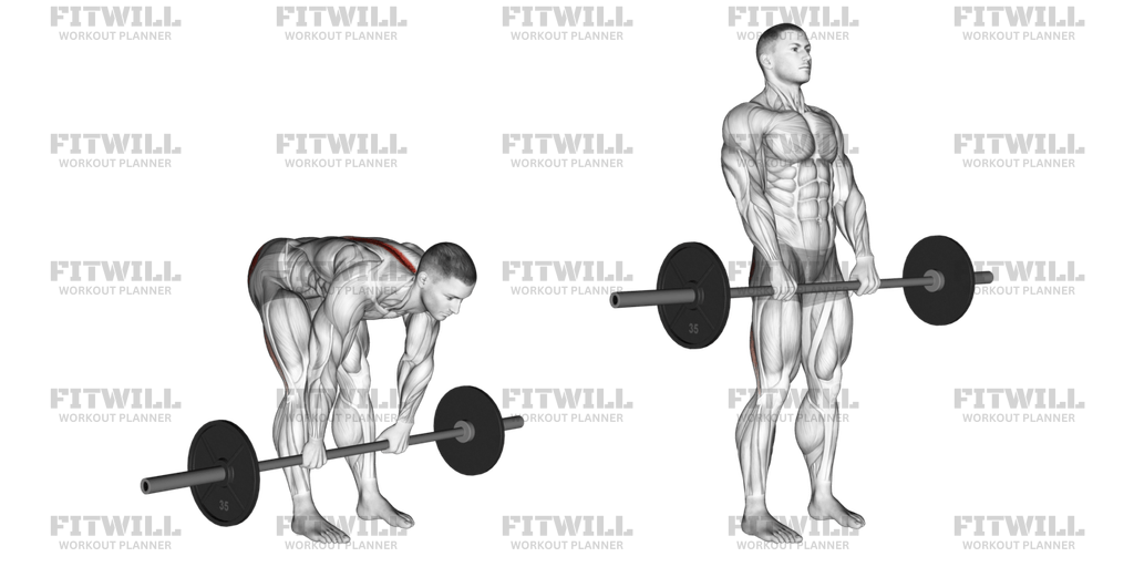 Barbell Stiff Legged Deadlift: Exercise Guide, Video, Techniques ...