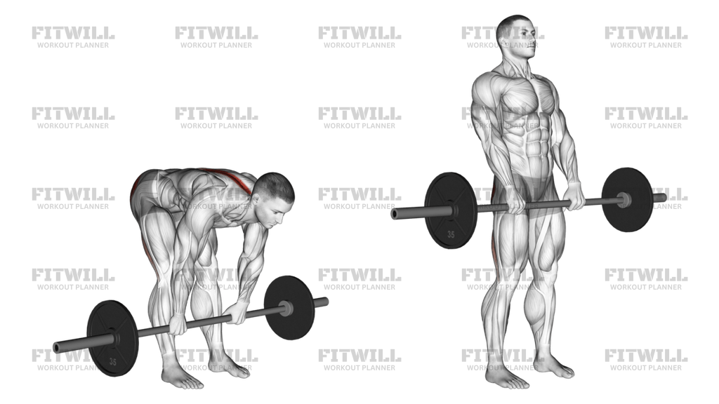 Barbell Stiff Legged Deadlift: Exercise Guide, Video, Techniques, Benefits, How to, Muscles ...