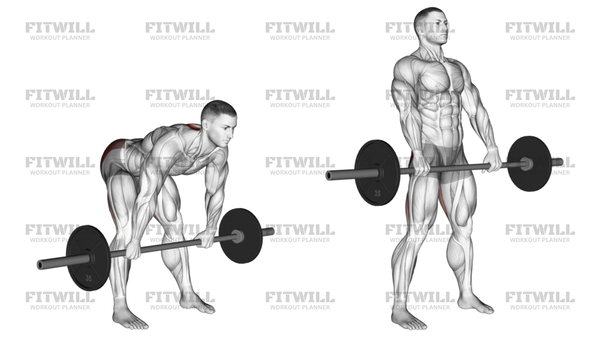 Peso Muerto Con Barra Y Piernas Rígidas Con Postura Amplia: Guía de ...