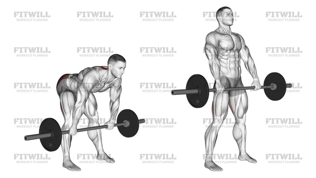 Barbell Wide Stance Stiff Leg Deadlift: Exercise Guide, Techniques ...