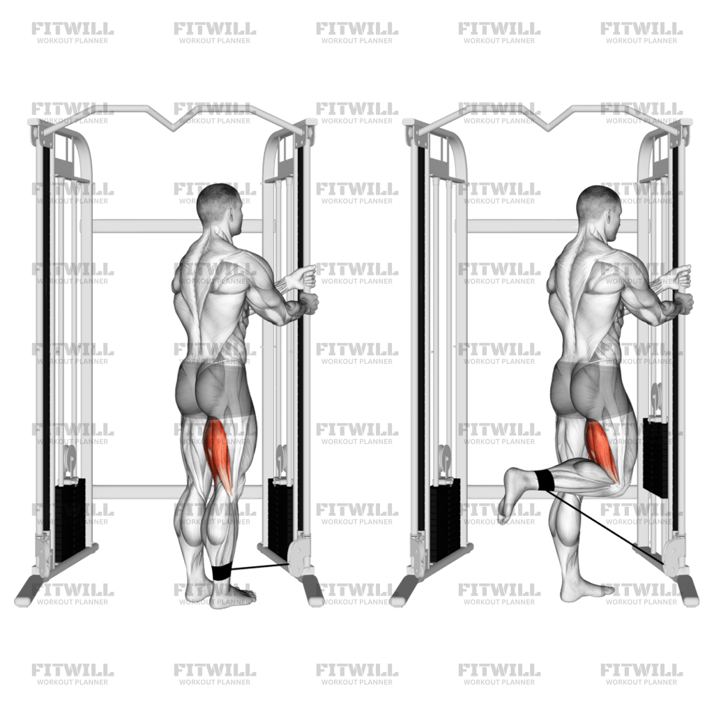 Cable Standing Leg Curl Exercise Guide Video Techniques Benefits How To Muscles Worked