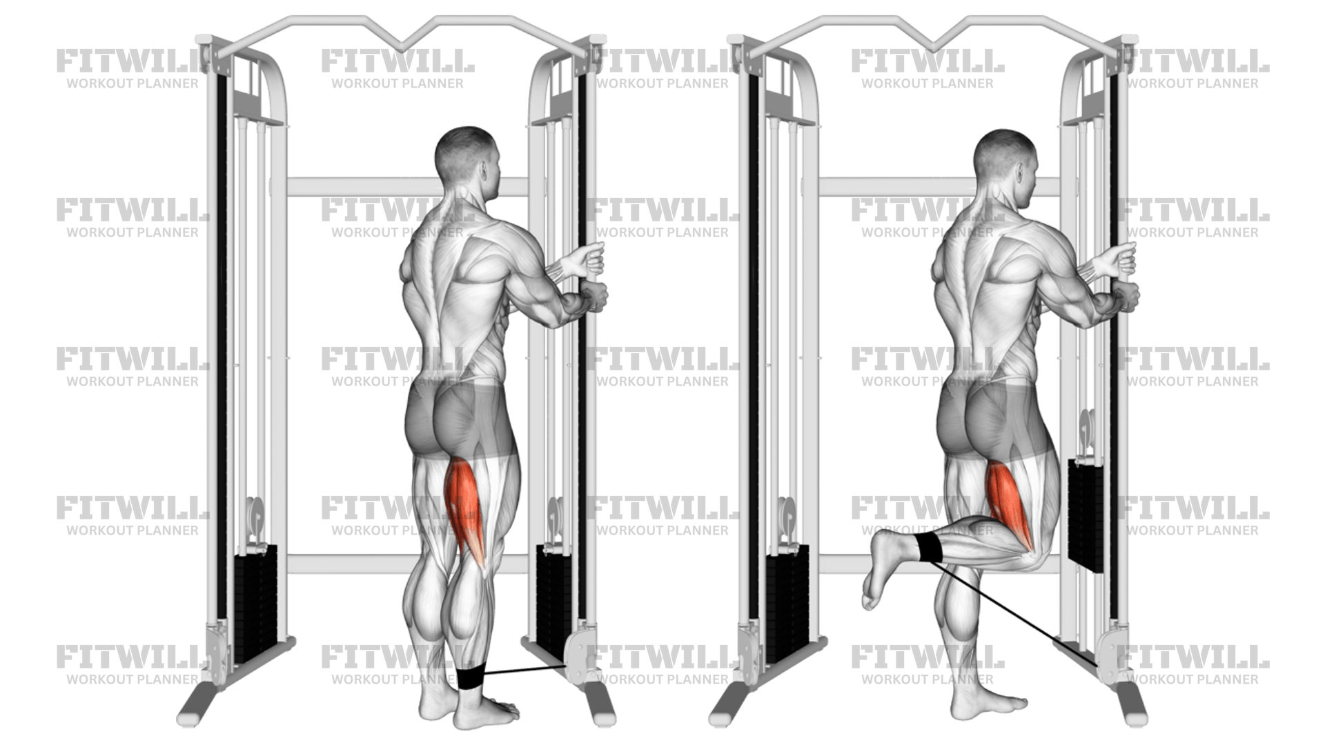 Cable Standing Leg Curl Exercise Guide Video Techniques Benefits How To Muscles Worked