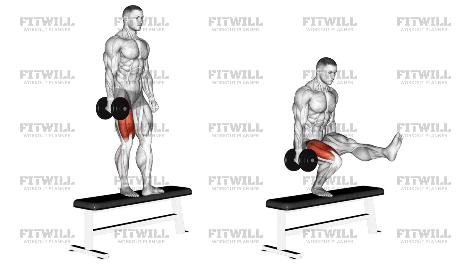 Dumbbell Bench One Leg Squat: Exercise Guide, Techniques, Benefits, How ...