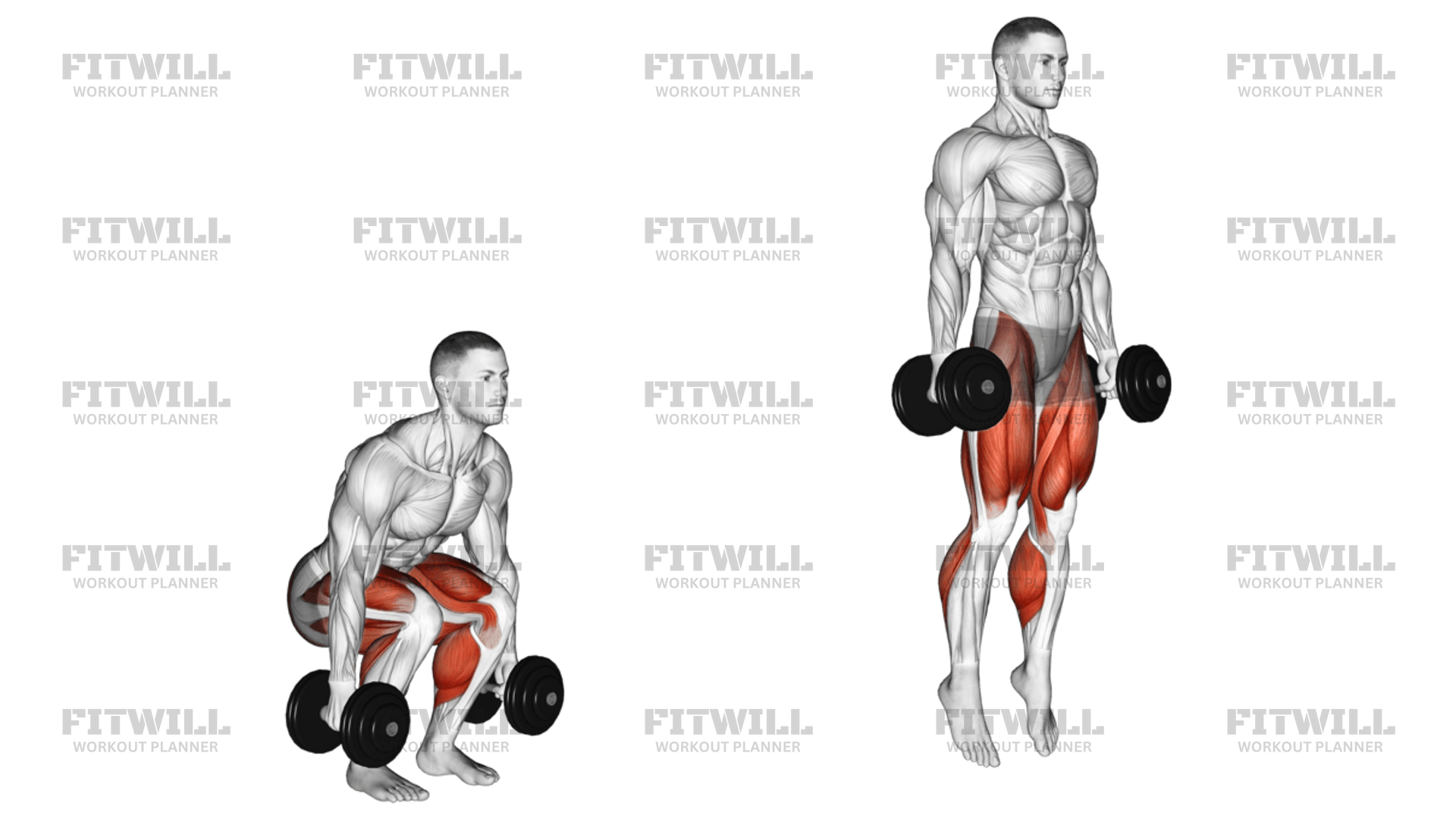 Dumbbell Jumping Squat: Exercise Guide, Video, Techniques, Benefits ...